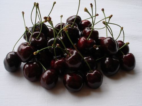 Obstproduzent Früchte direkt vom Baum